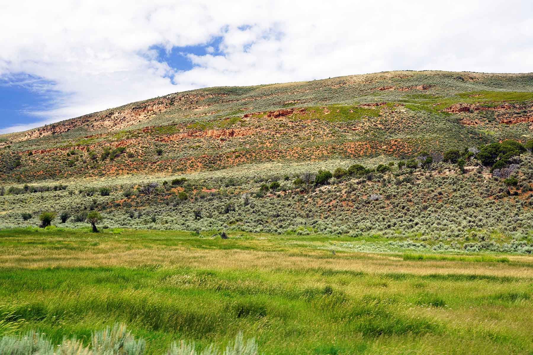 Three Springs Ranch - Sold - Colorado - Hall and Hall