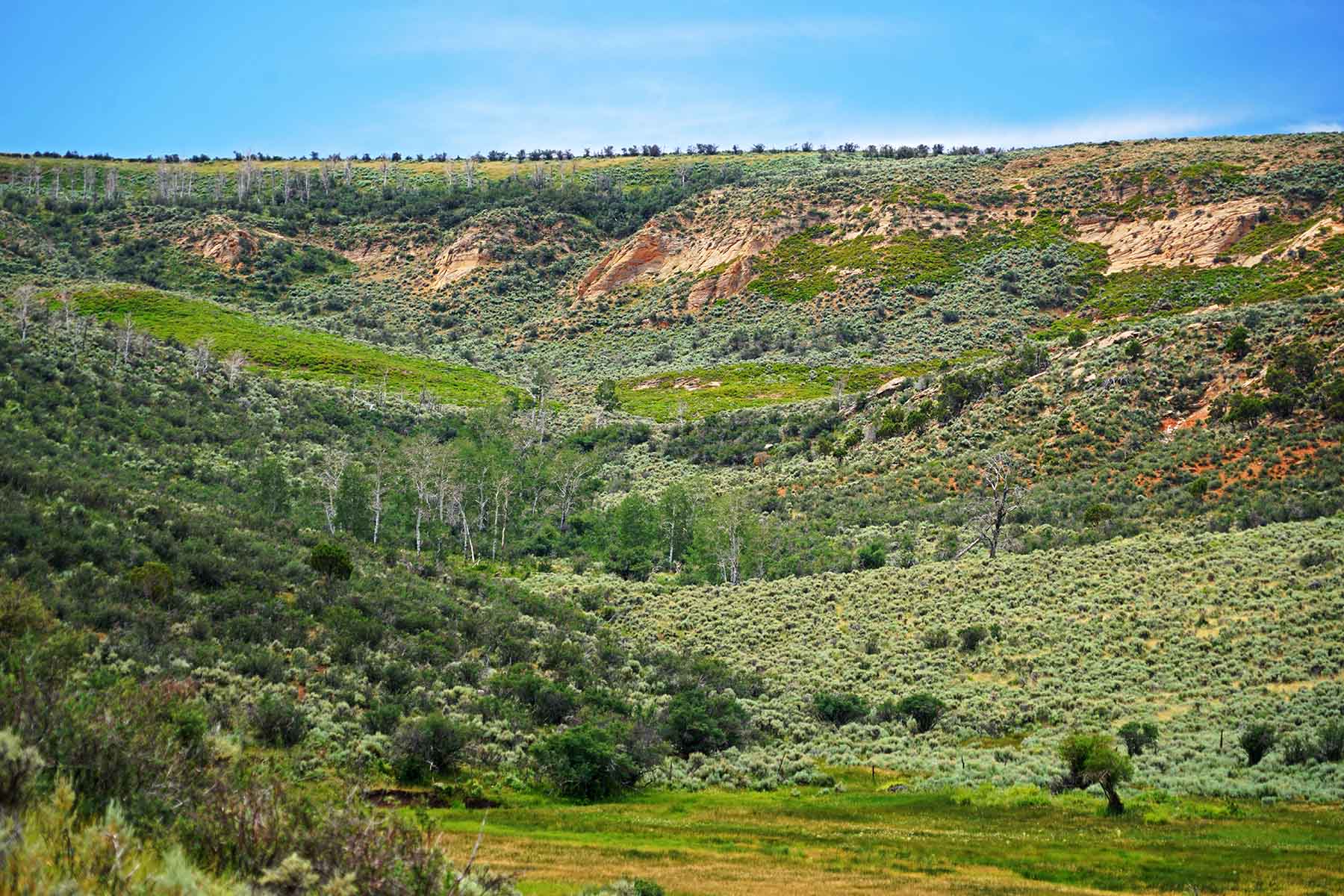 Three Springs Ranch - Sold - Colorado - Hall and Hall