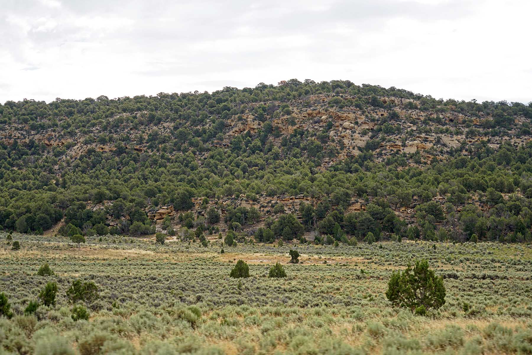 Three Springs Ranch - Sold - Colorado - Hall and Hall