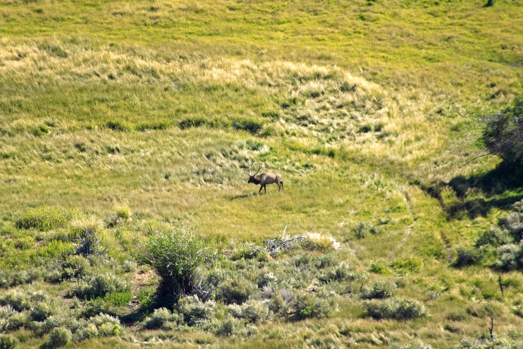 Three Springs Ranch - Sold - Colorado - Hall and Hall