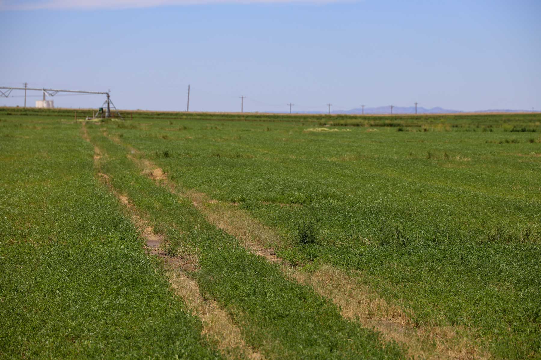 Oregon Trail River Ranch - Sold - Wyoming - Hall and Hall