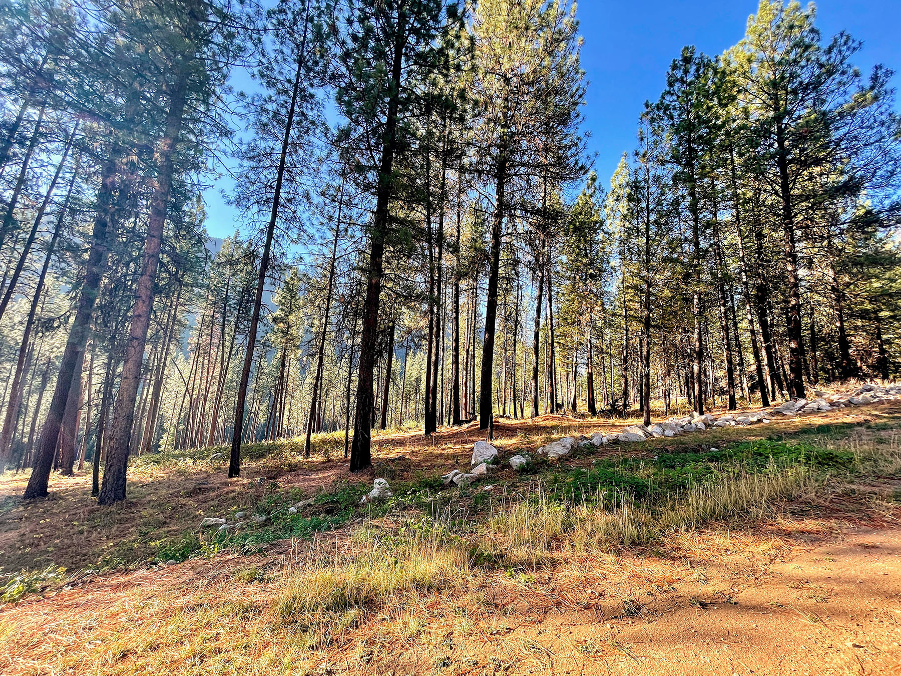 Whitewater Ranch - Sold - Idaho - Hall and Hall