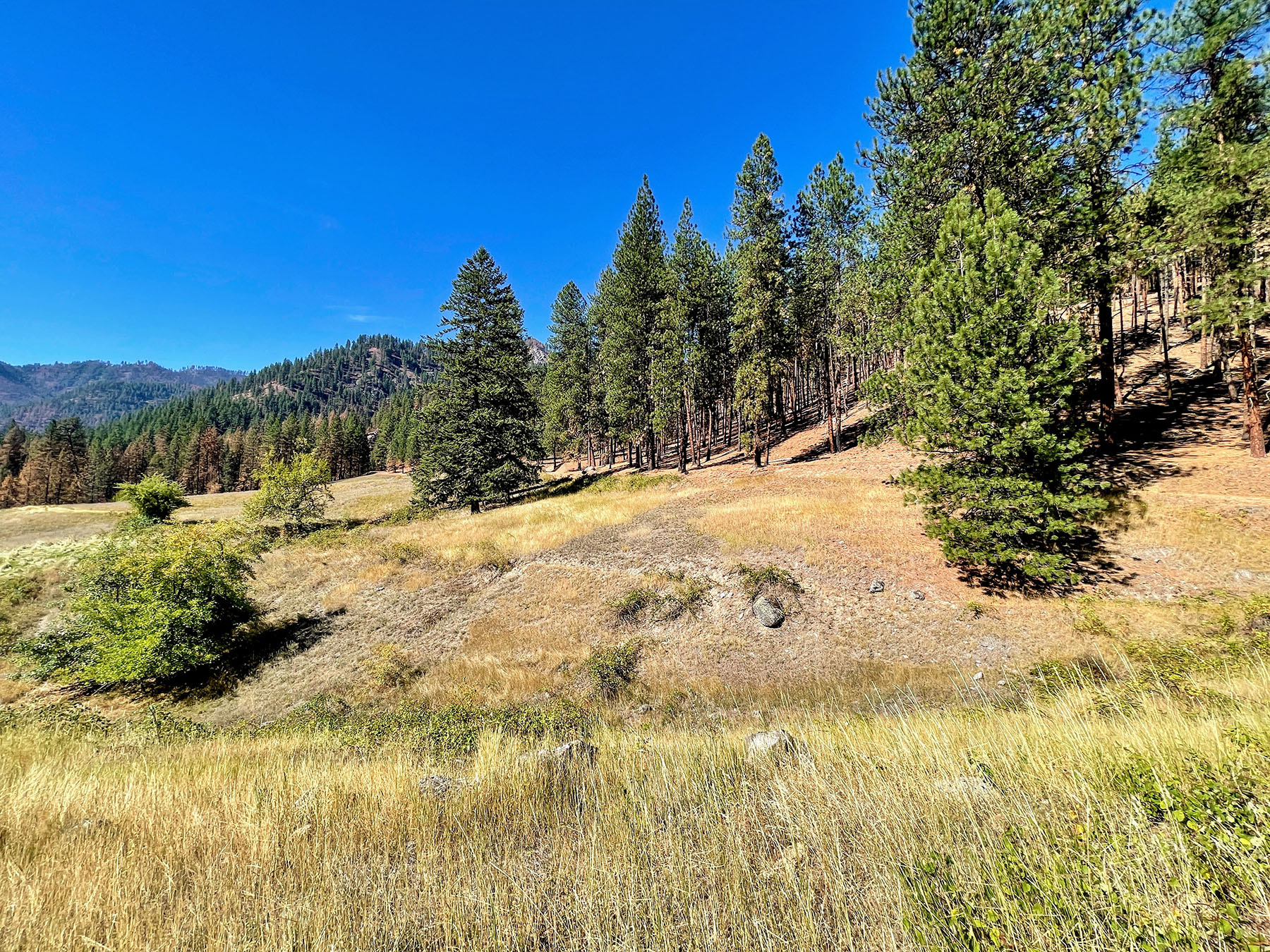 Whitewater Ranch - Sold - Idaho - Hall and Hall