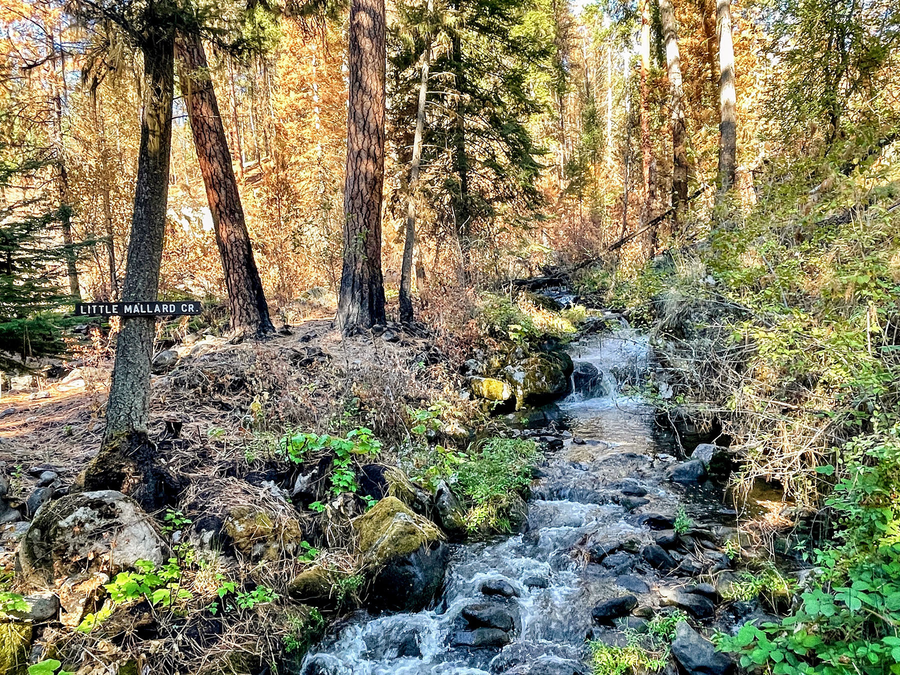 Whitewater Ranch - Sold - Idaho - Hall and Hall