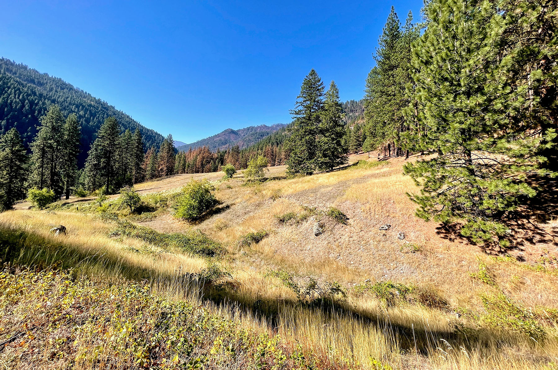 Whitewater Ranch - Sold - Idaho - Hall and Hall