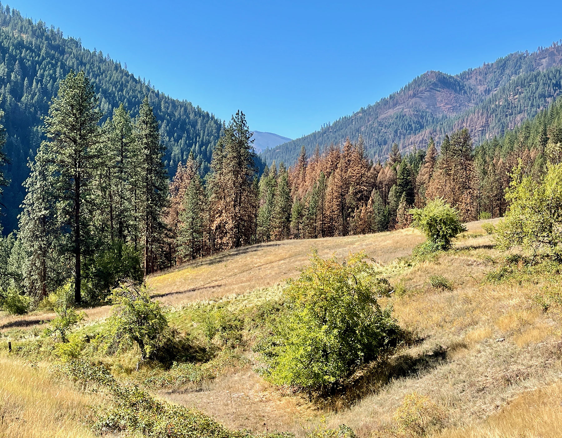 Whitewater Ranch - Sold - Idaho - Hall and Hall