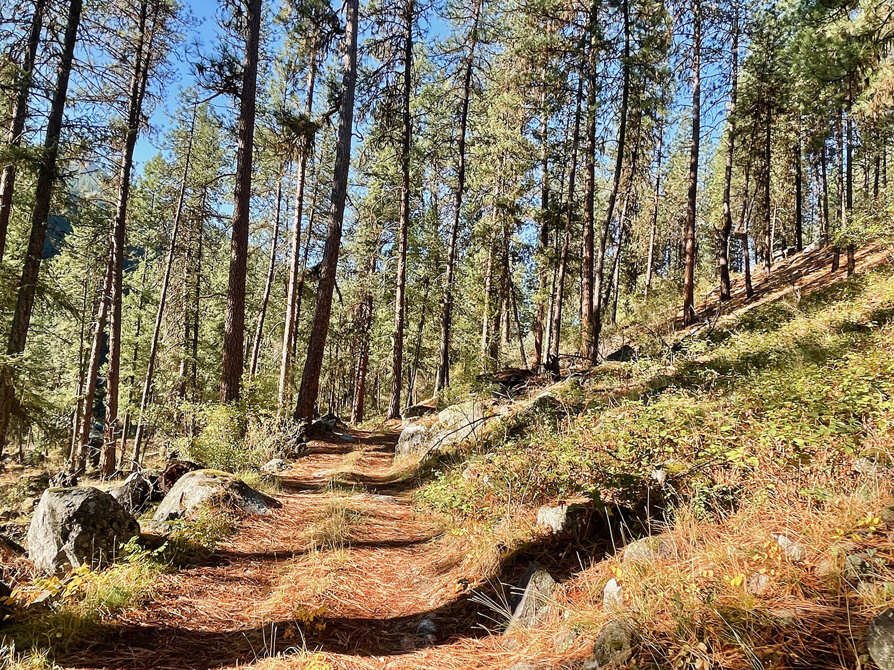 Whitewater Ranch - Sold - Idaho - Hall and Hall