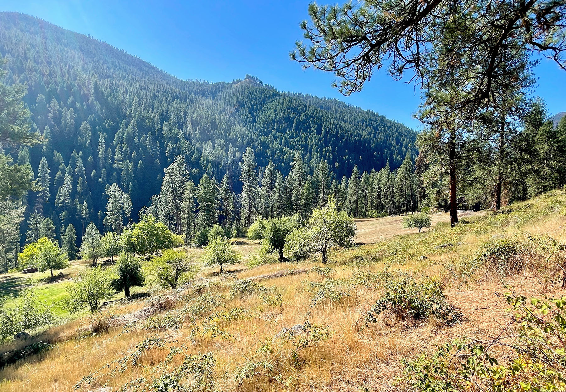 Whitewater Ranch - Sold - Idaho - Hall and Hall