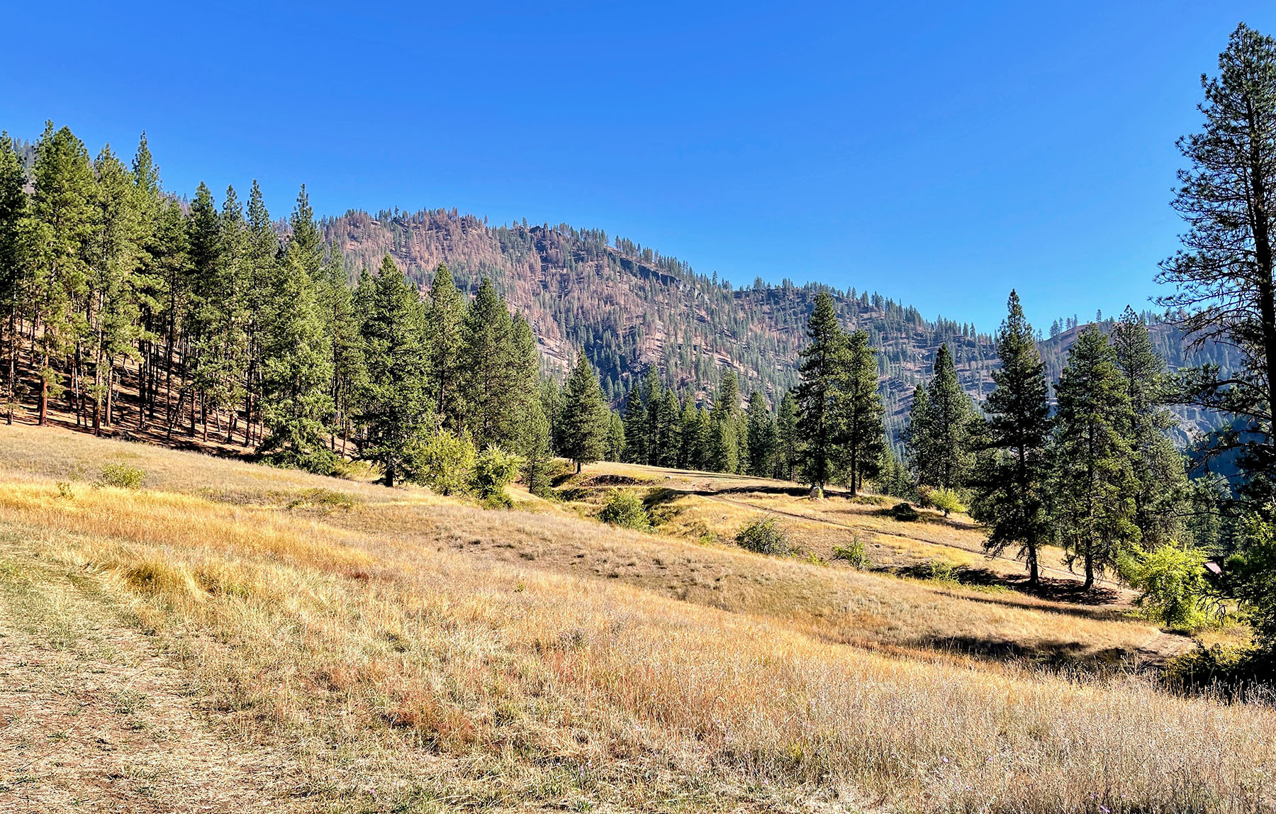 Whitewater Ranch - Sold - Idaho - Hall and Hall