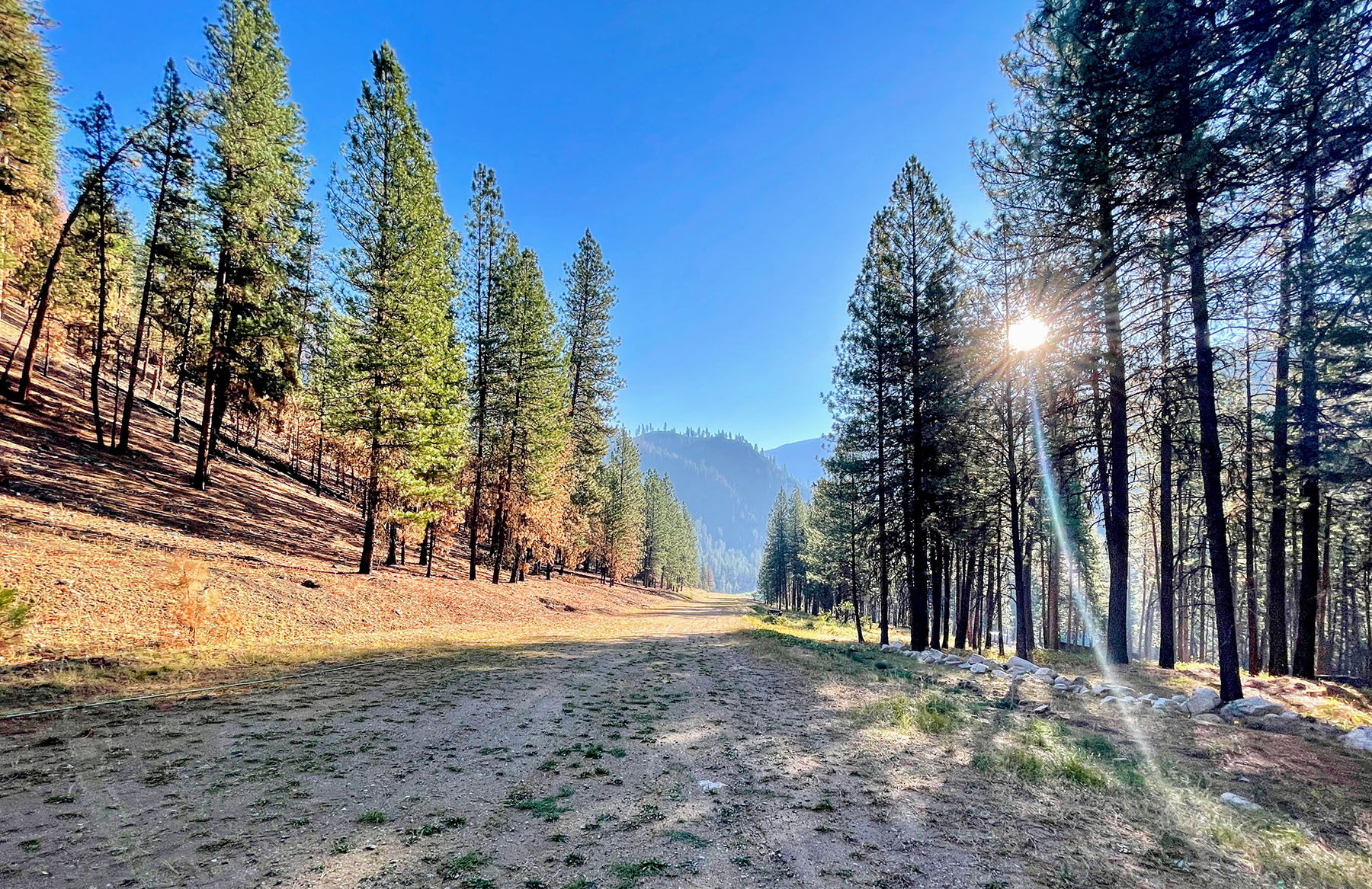 Whitewater Ranch - Sold - Idaho - Hall and Hall