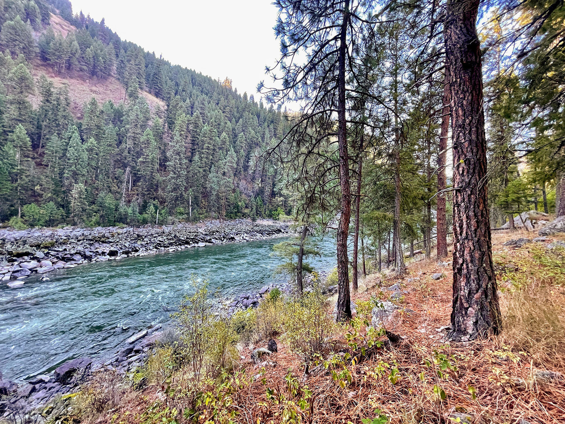 Whitewater Ranch - Sold - Idaho - Hall and Hall