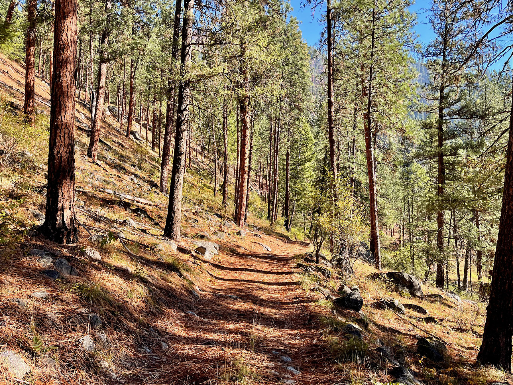 Whitewater Ranch - Sold - Idaho - Hall and Hall