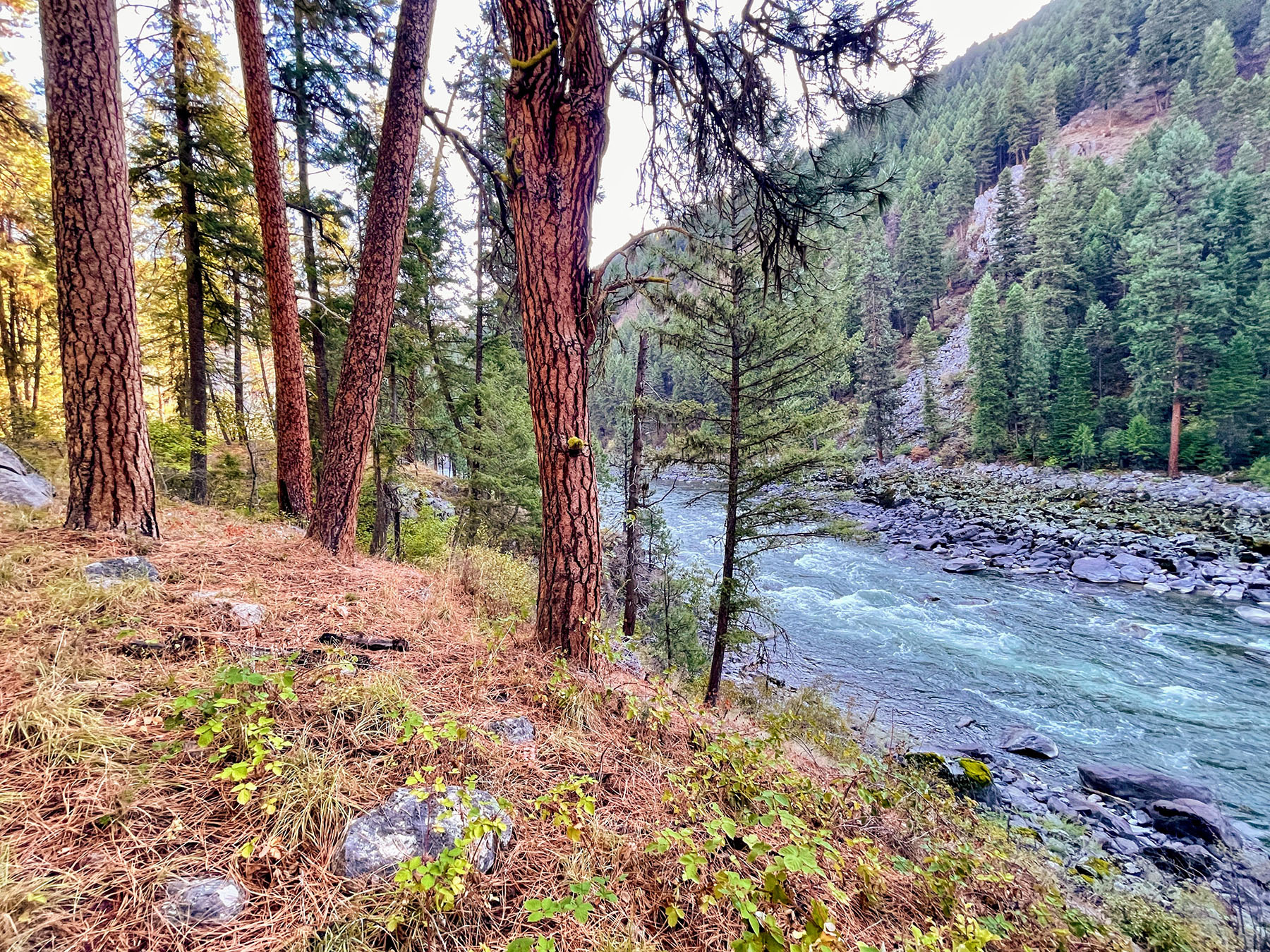 Whitewater Ranch - Sold - Idaho - Hall and Hall