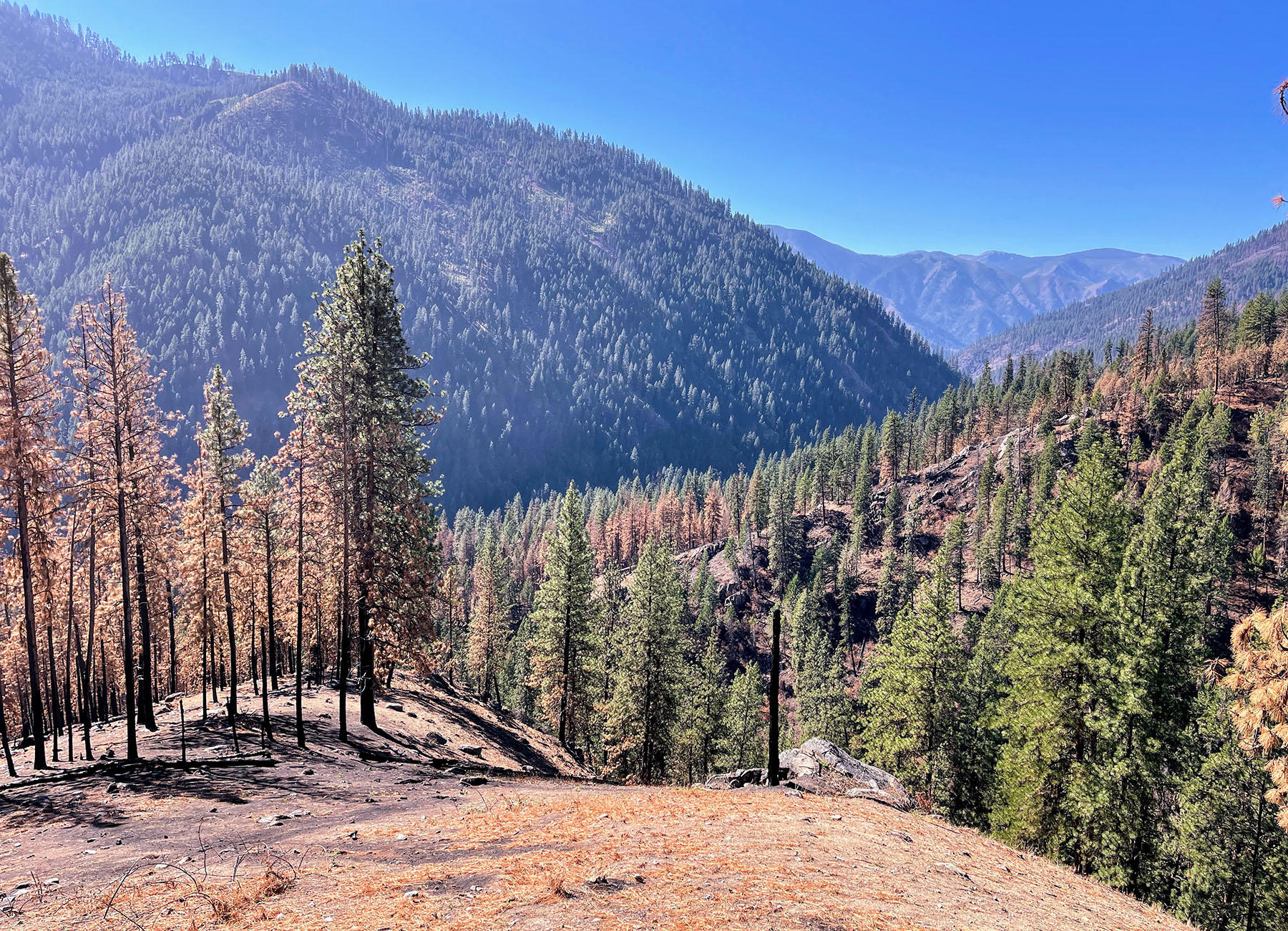 Whitewater Ranch - Sold - Idaho - Hall and Hall