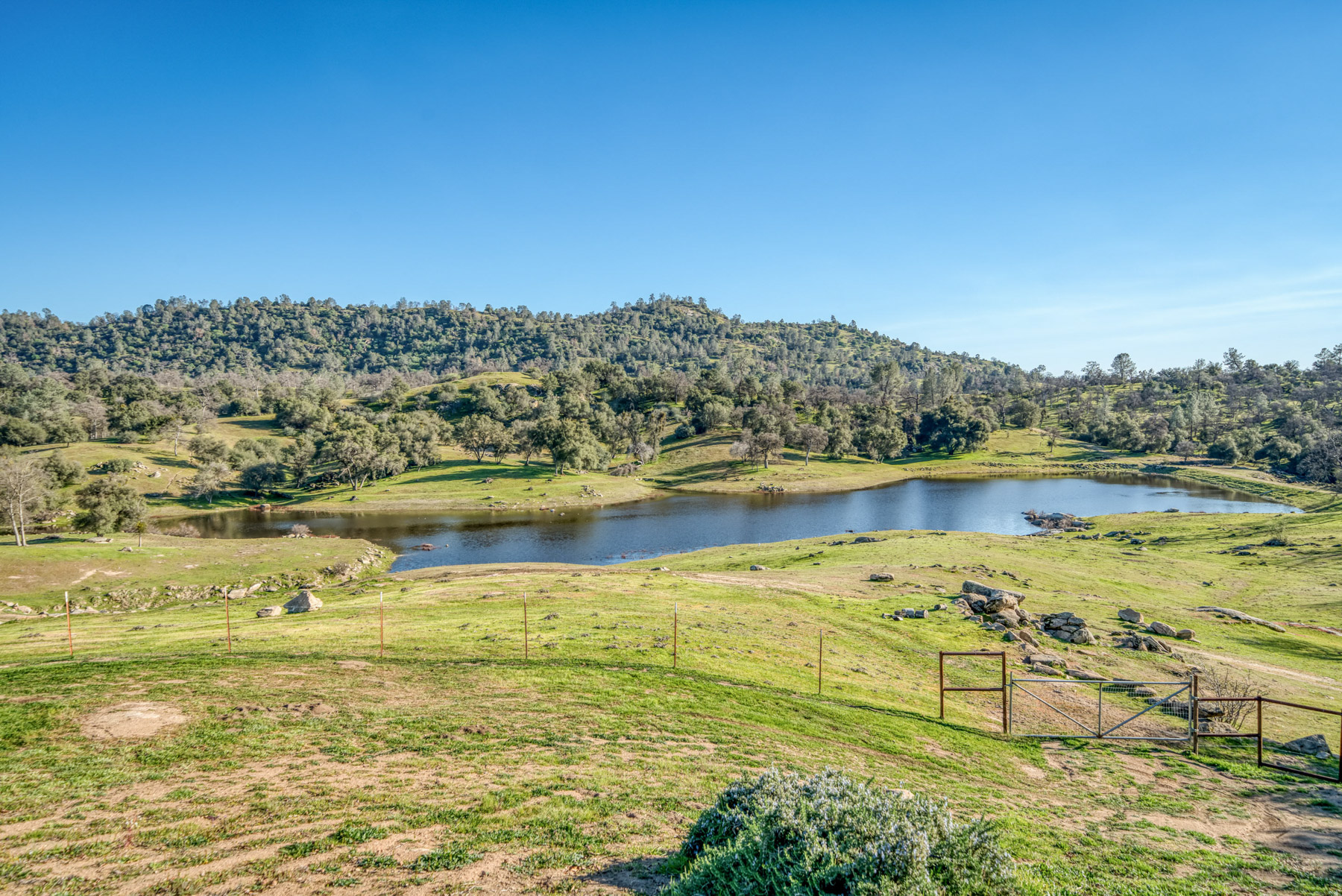 Love Ranch - Hall and Hall