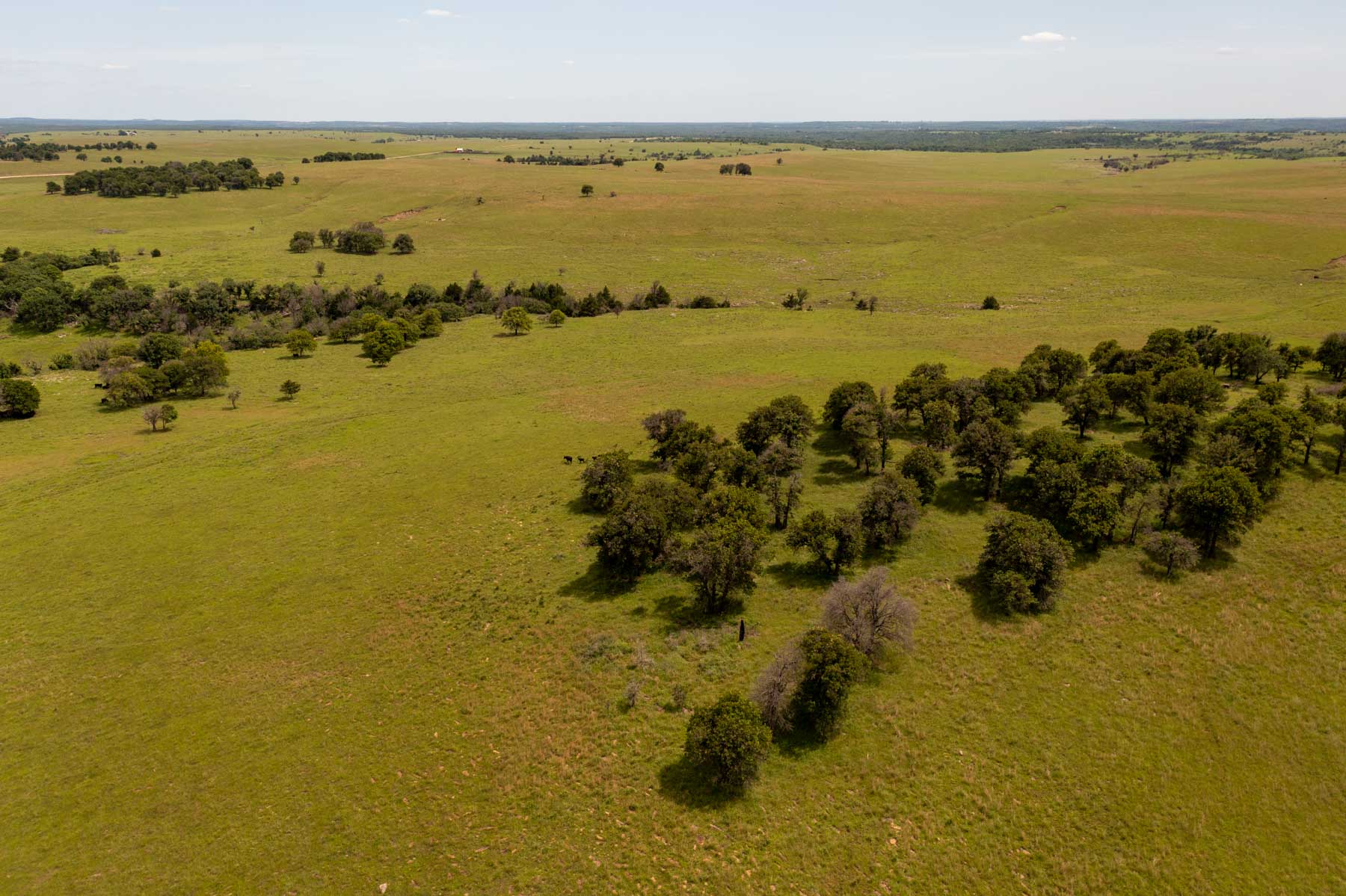 Spur Ranch - Sold - Kansas - Hall and Hall