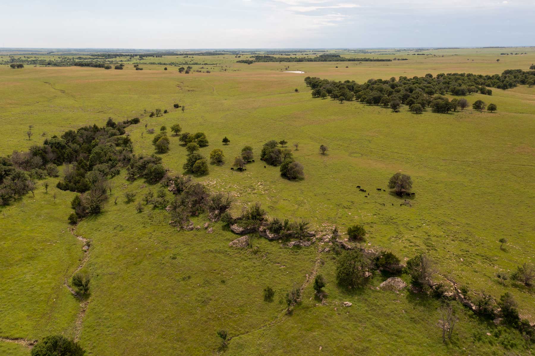 Spur Ranch - Sold - Kansas - Hall and Hall