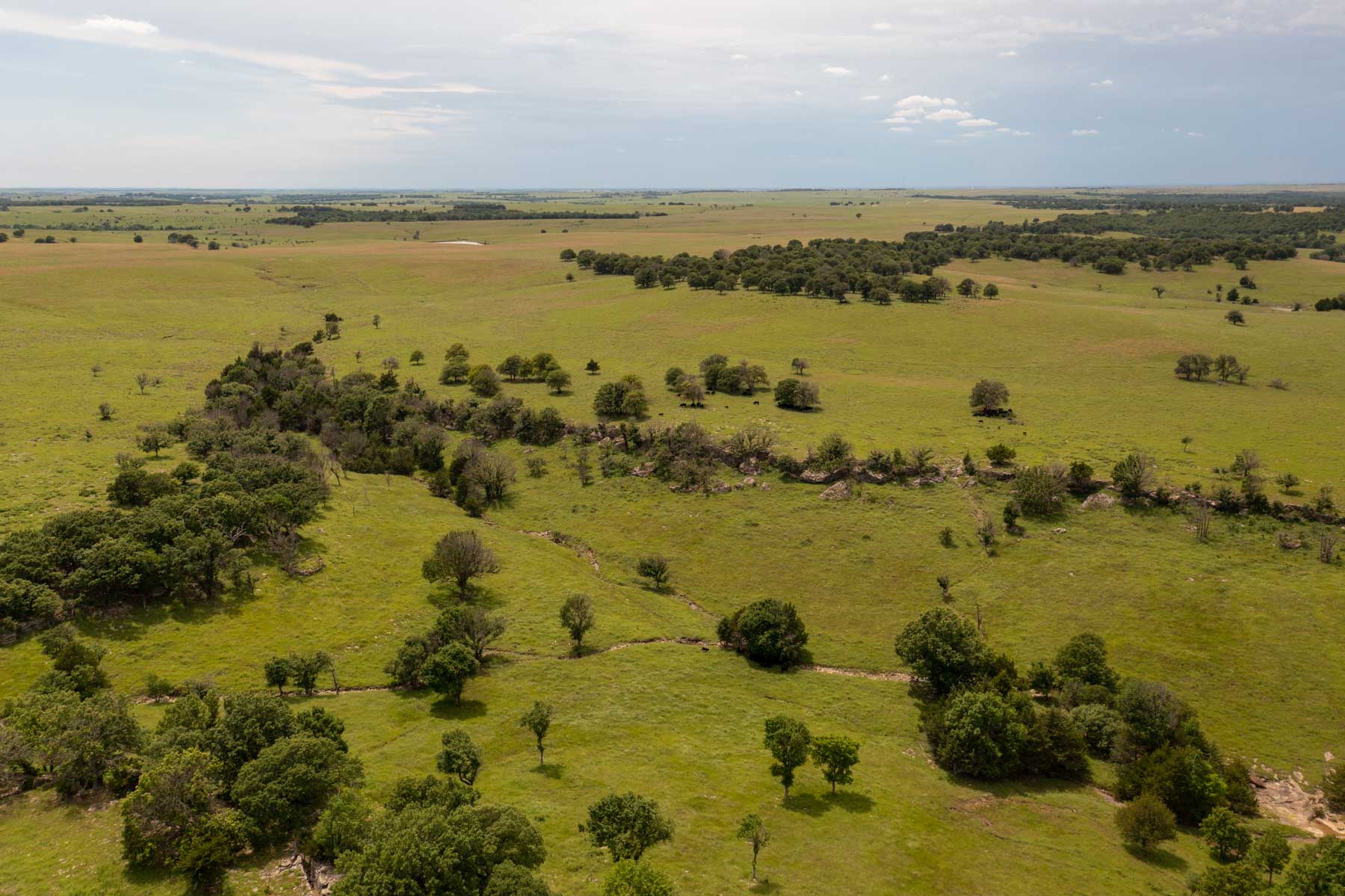 Spur Ranch - Sold - Kansas - Hall and Hall