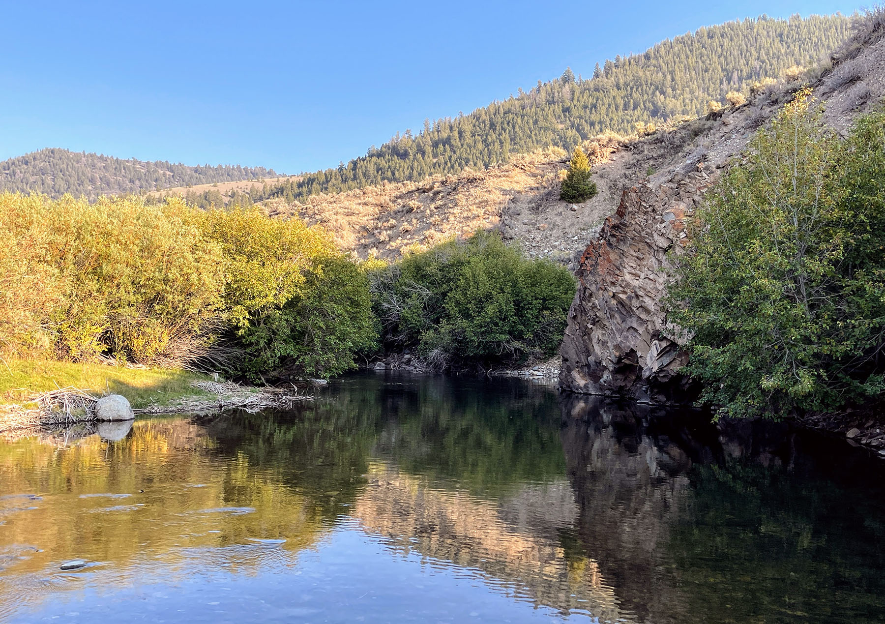 Copper Basin Ranch - Sold - Idaho - Hall and Hall