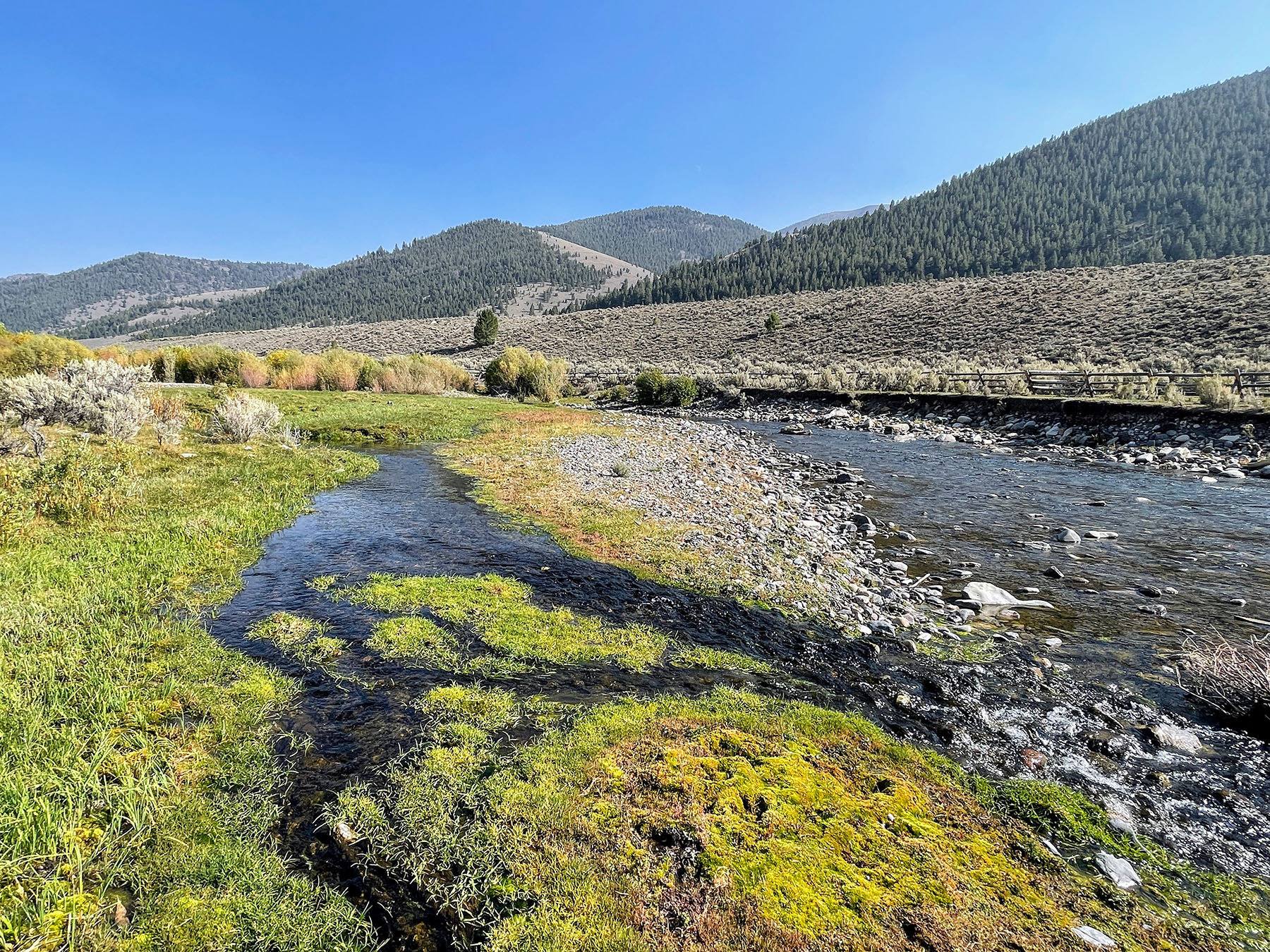 Copper Basin Ranch - Sold - Idaho - Hall and Hall