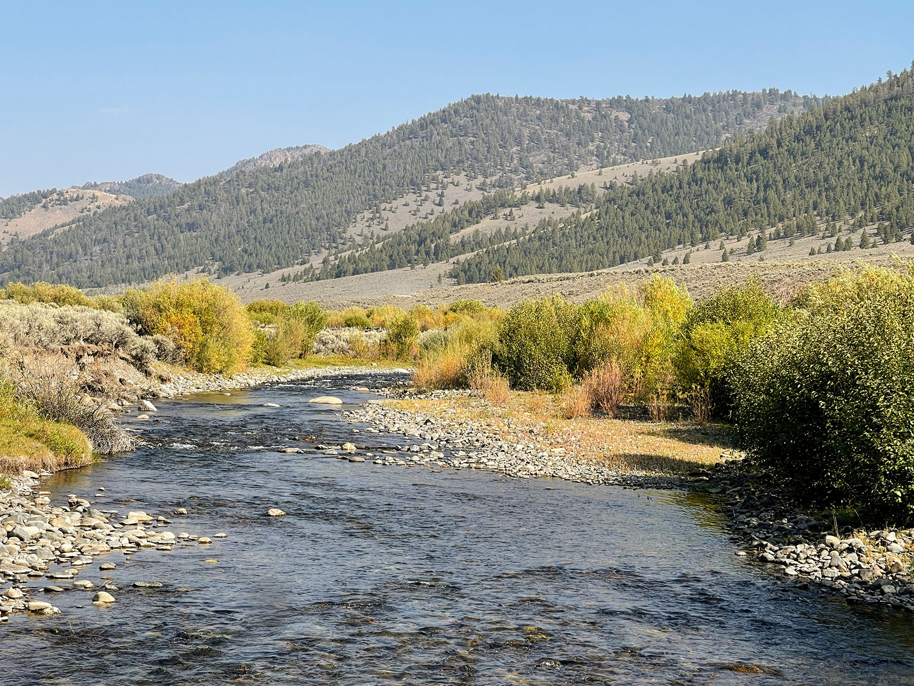 Copper Basin Ranch - Sold - Idaho - Hall and Hall