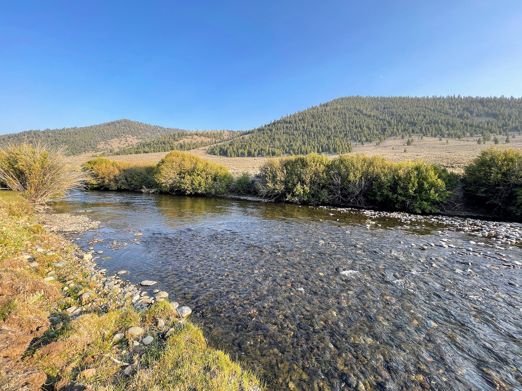 Copper Basin Ranch - Sold - Idaho - Hall and Hall