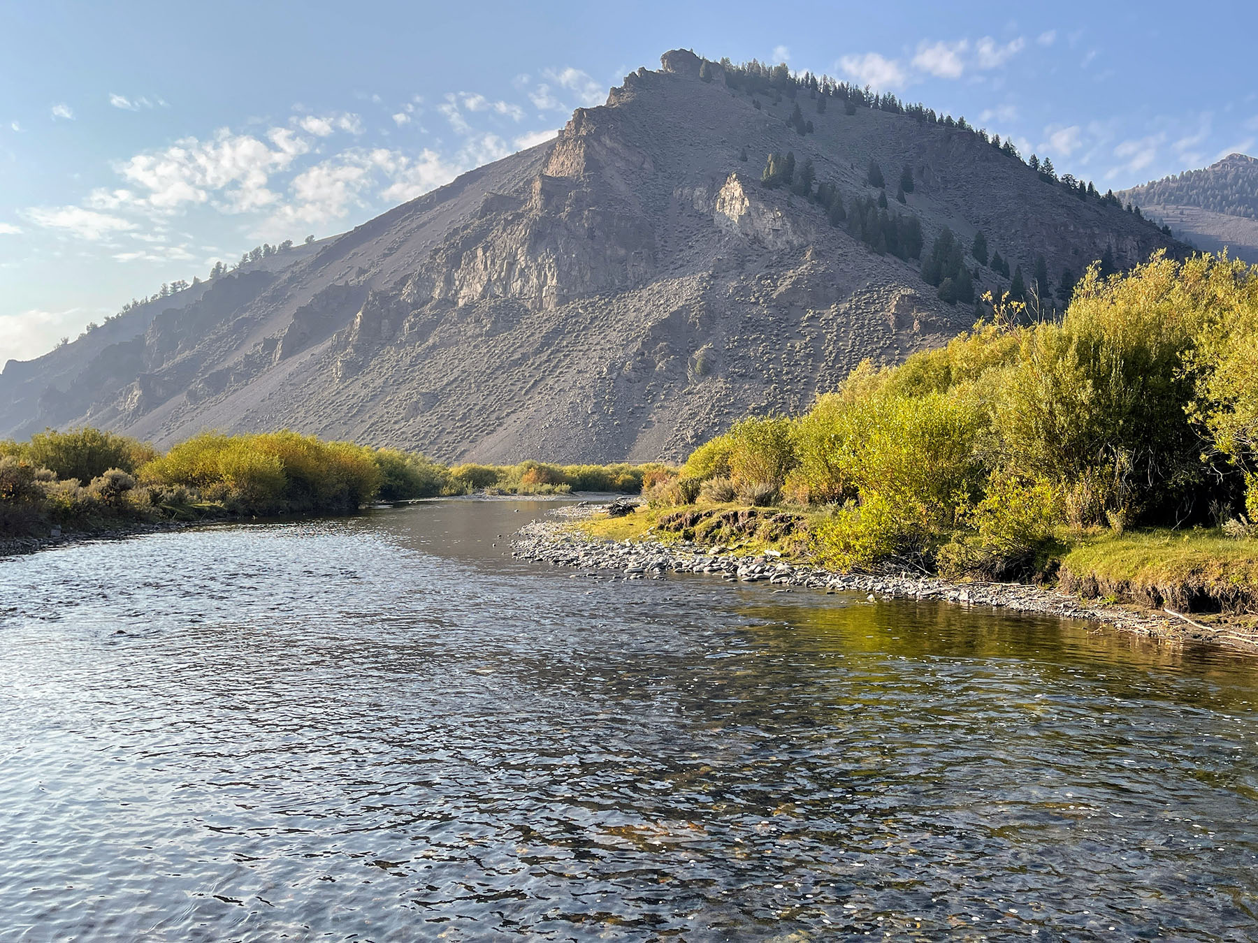 Copper Basin Ranch - Sold - Idaho - Hall and Hall
