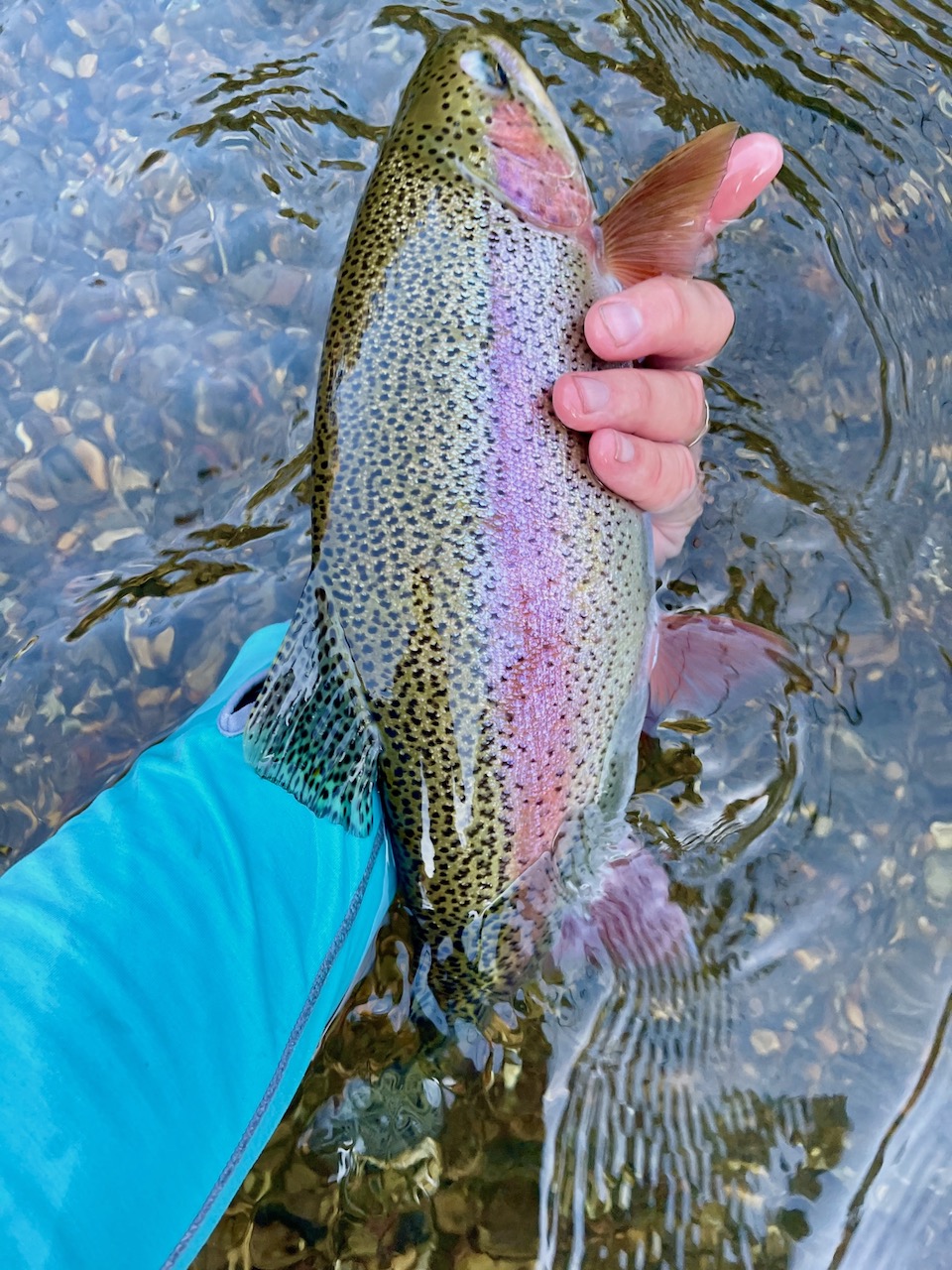 Copper Basin Ranch - Sold - Idaho - Hall and Hall