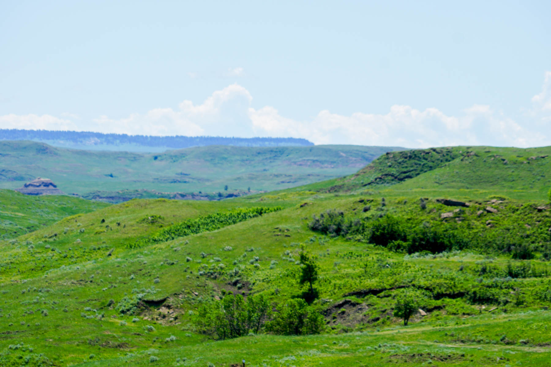 ZX Ranch - Sold - South Dakota - Hall and Hall