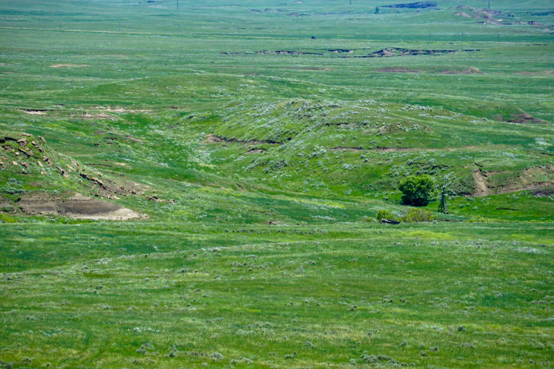 ZX Ranch - Sold - South Dakota - Hall and Hall