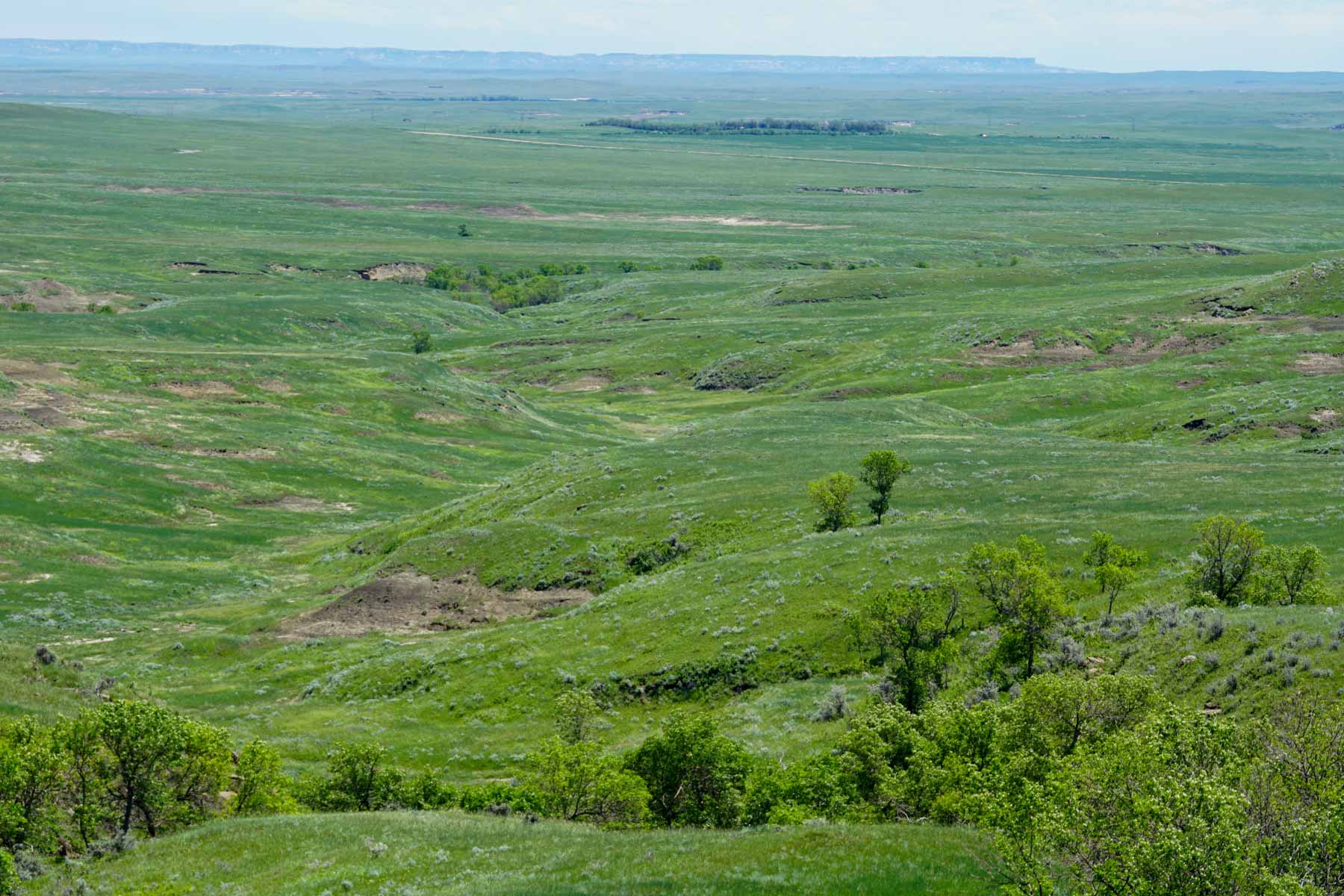 ZX Ranch - Sold - South Dakota - Hall and Hall