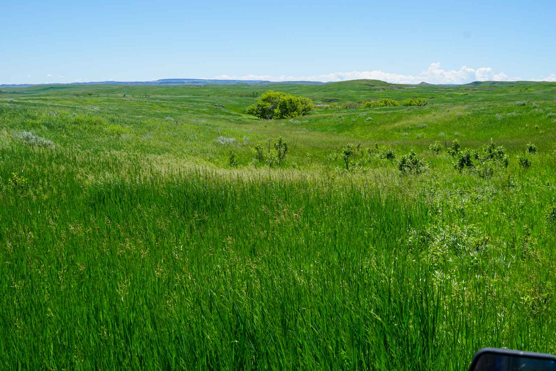 ZX Ranch - Sold - South Dakota - Hall and Hall