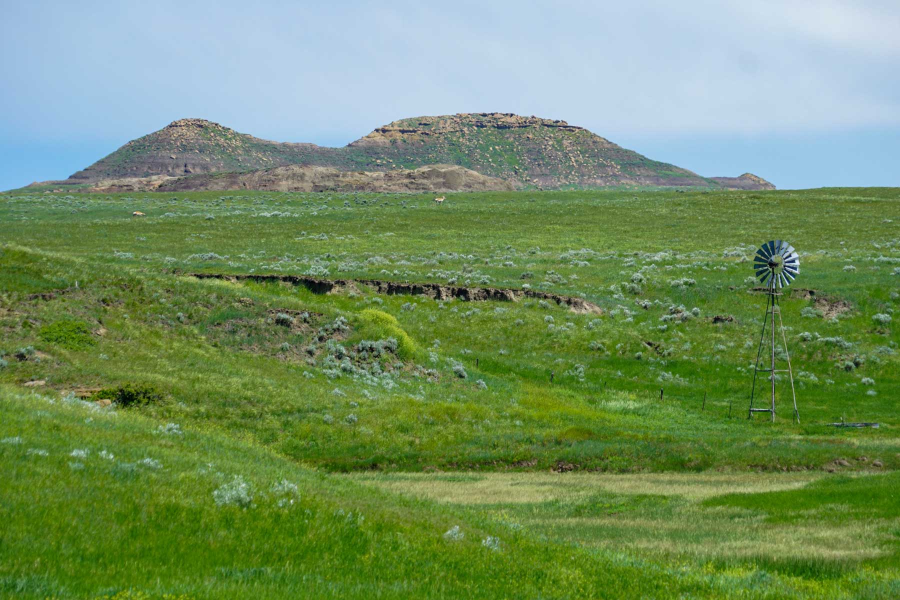 ZX Ranch - Sold - South Dakota - Hall and Hall