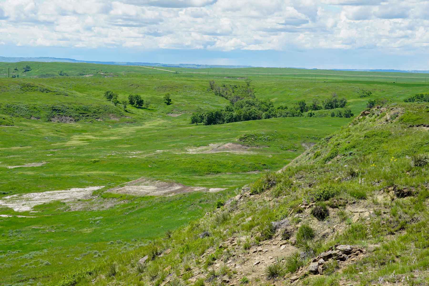 ZX Ranch - Sold - South Dakota - Hall and Hall