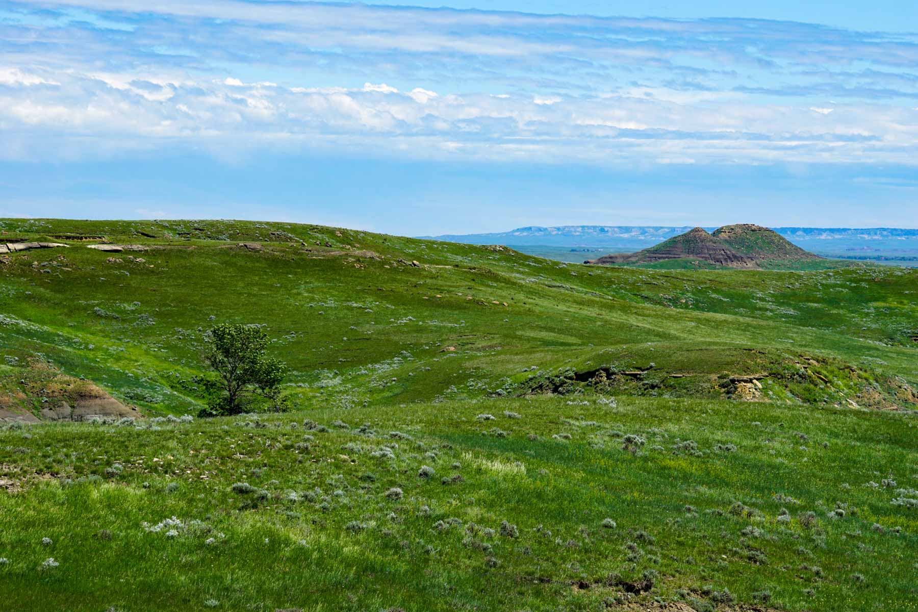 ZX Ranch - Sold - South Dakota - Hall and Hall