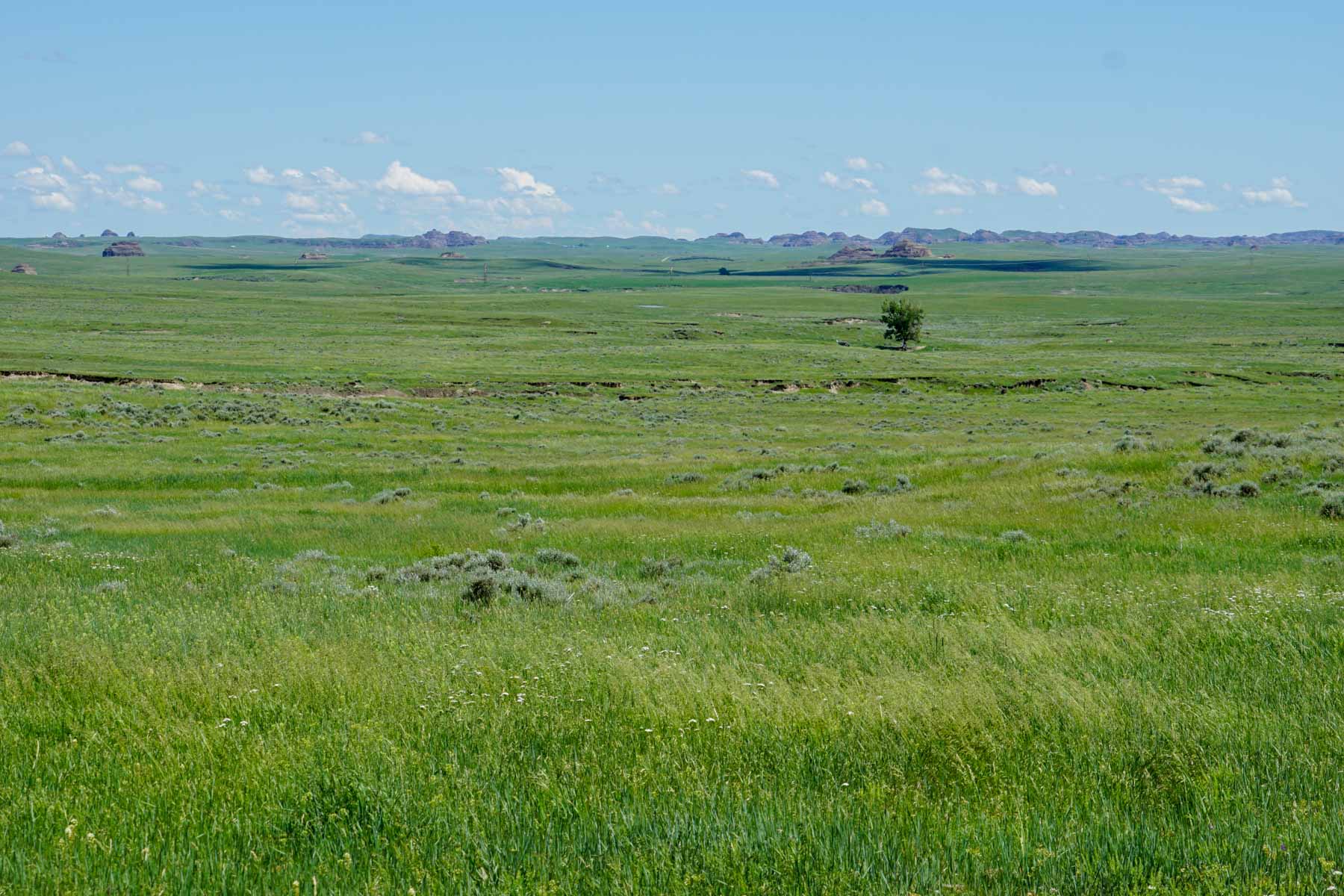 ZX Ranch - Sold - South Dakota - Hall and Hall