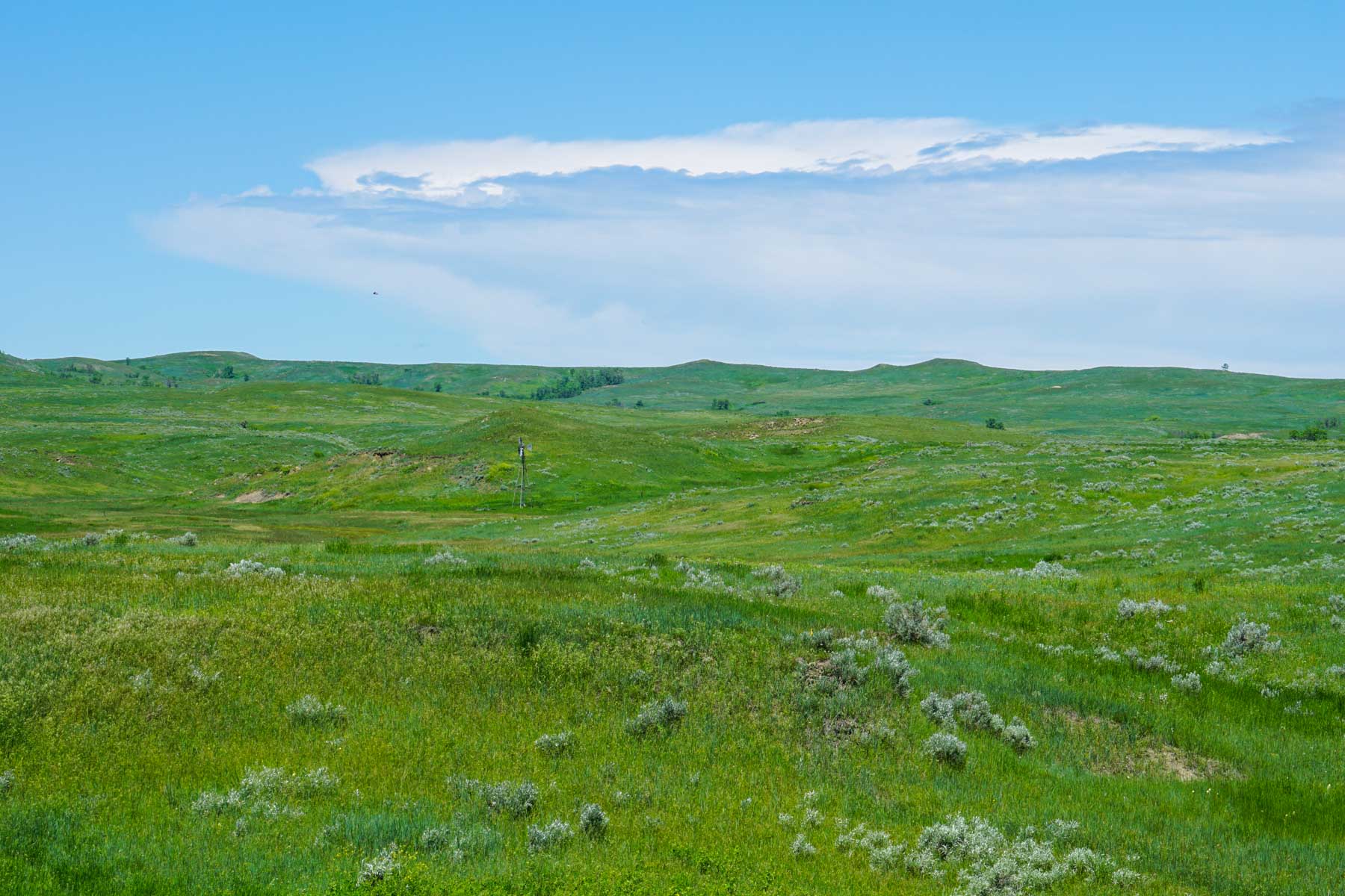ZX Ranch - Sold - South Dakota - Hall and Hall