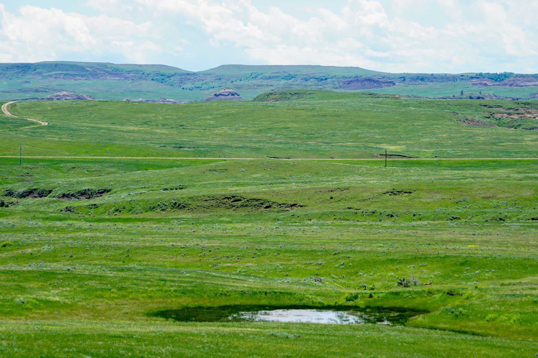 ZX Ranch - Hall and Hall