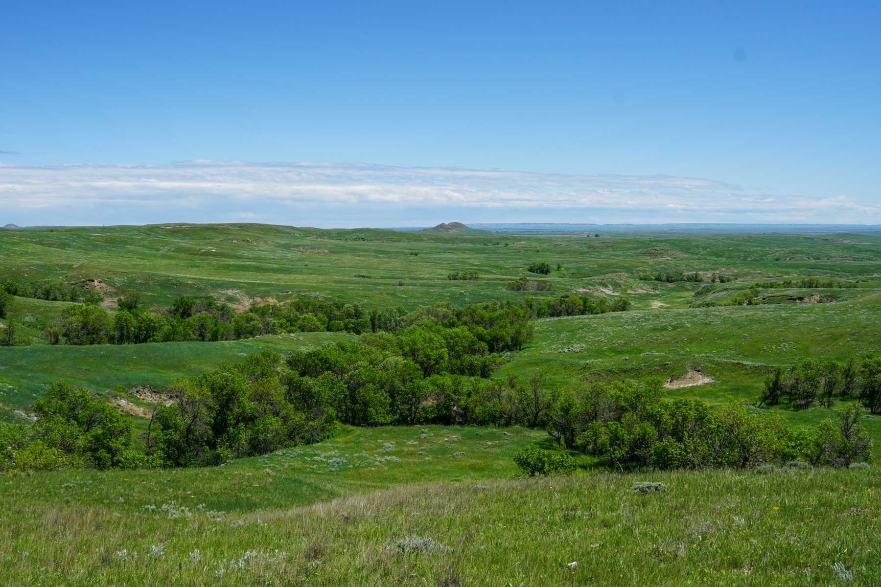 ZX Ranch - Sold - South Dakota - Hall and Hall