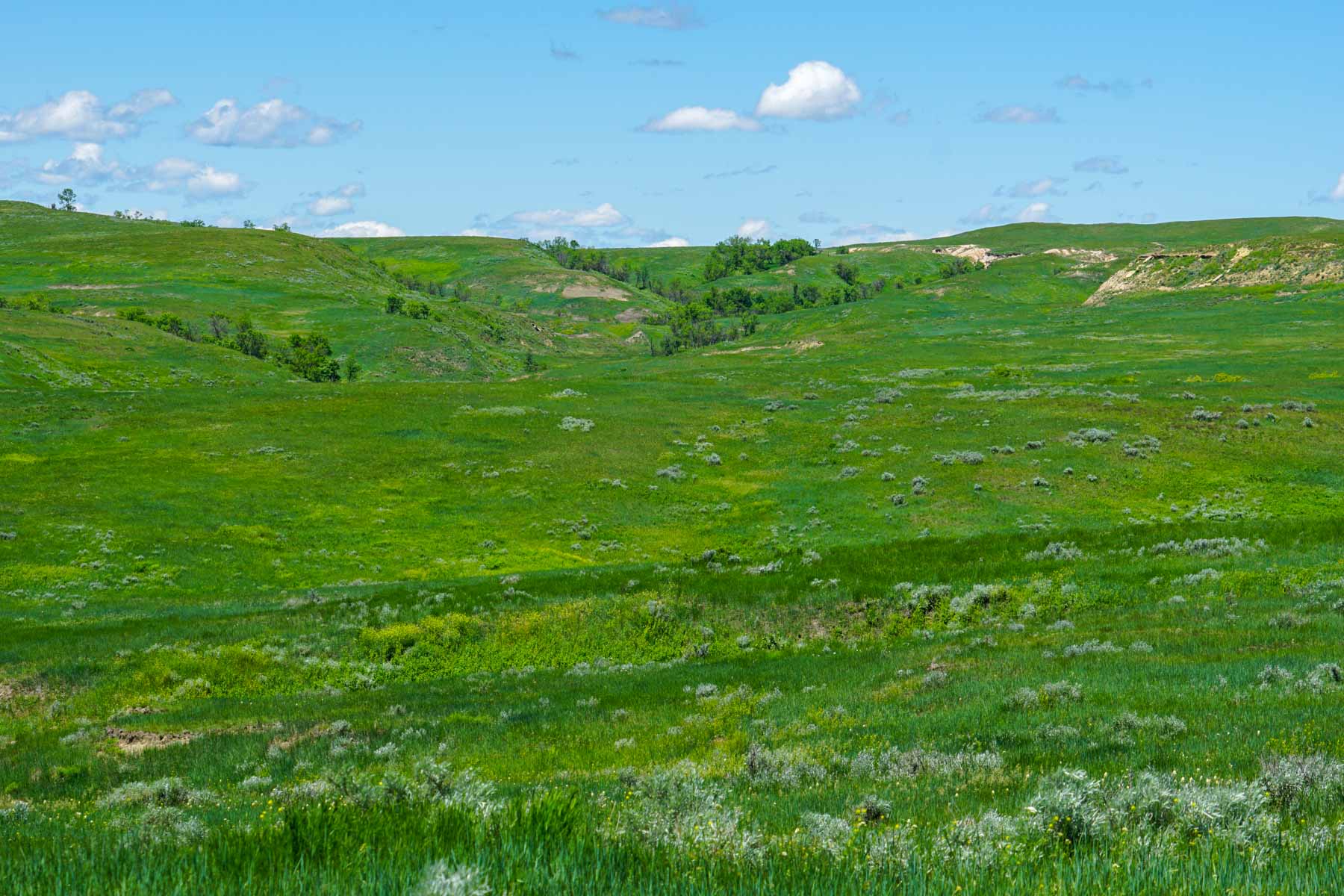 ZX Ranch - Sold - South Dakota - Hall and Hall