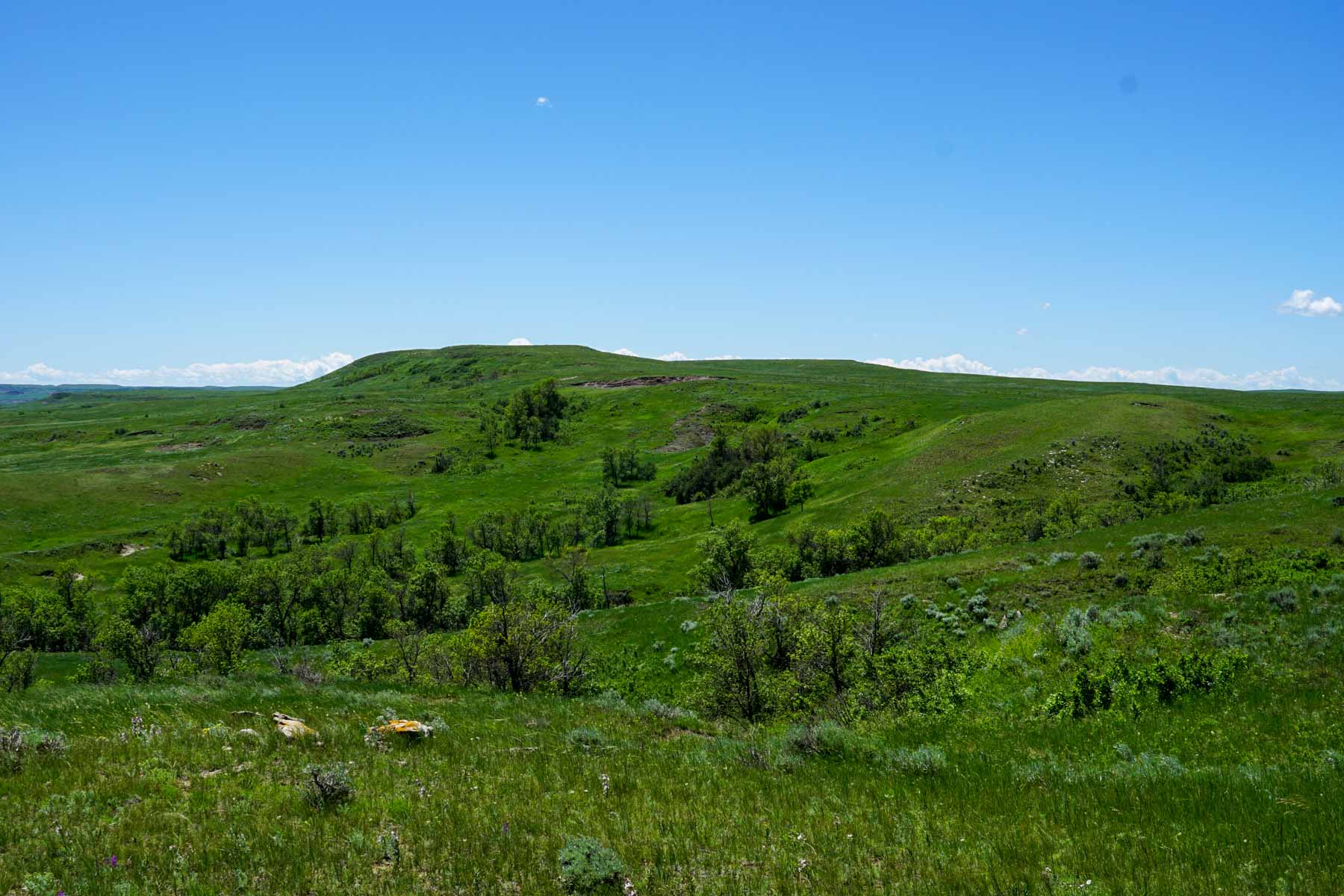 ZX Ranch - Sold - South Dakota - Hall and Hall