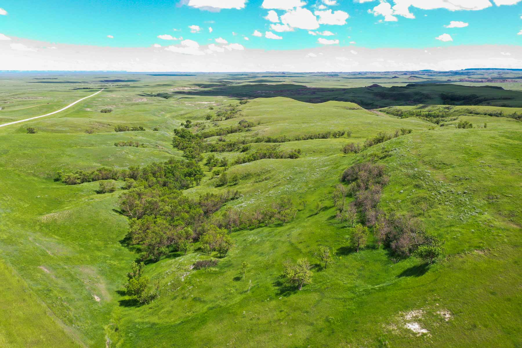 ZX Ranch - Sold - South Dakota - Hall and Hall