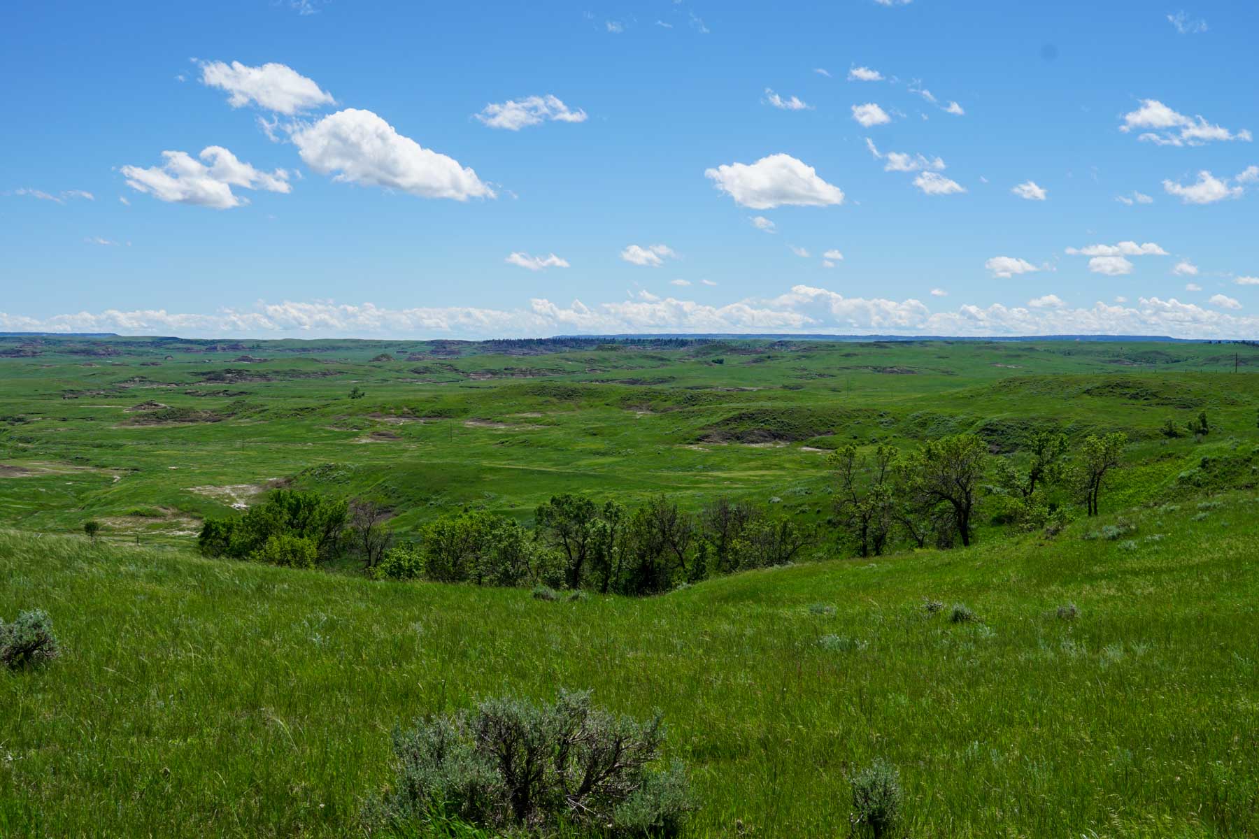 ZX Ranch - Sold - South Dakota - Hall and Hall