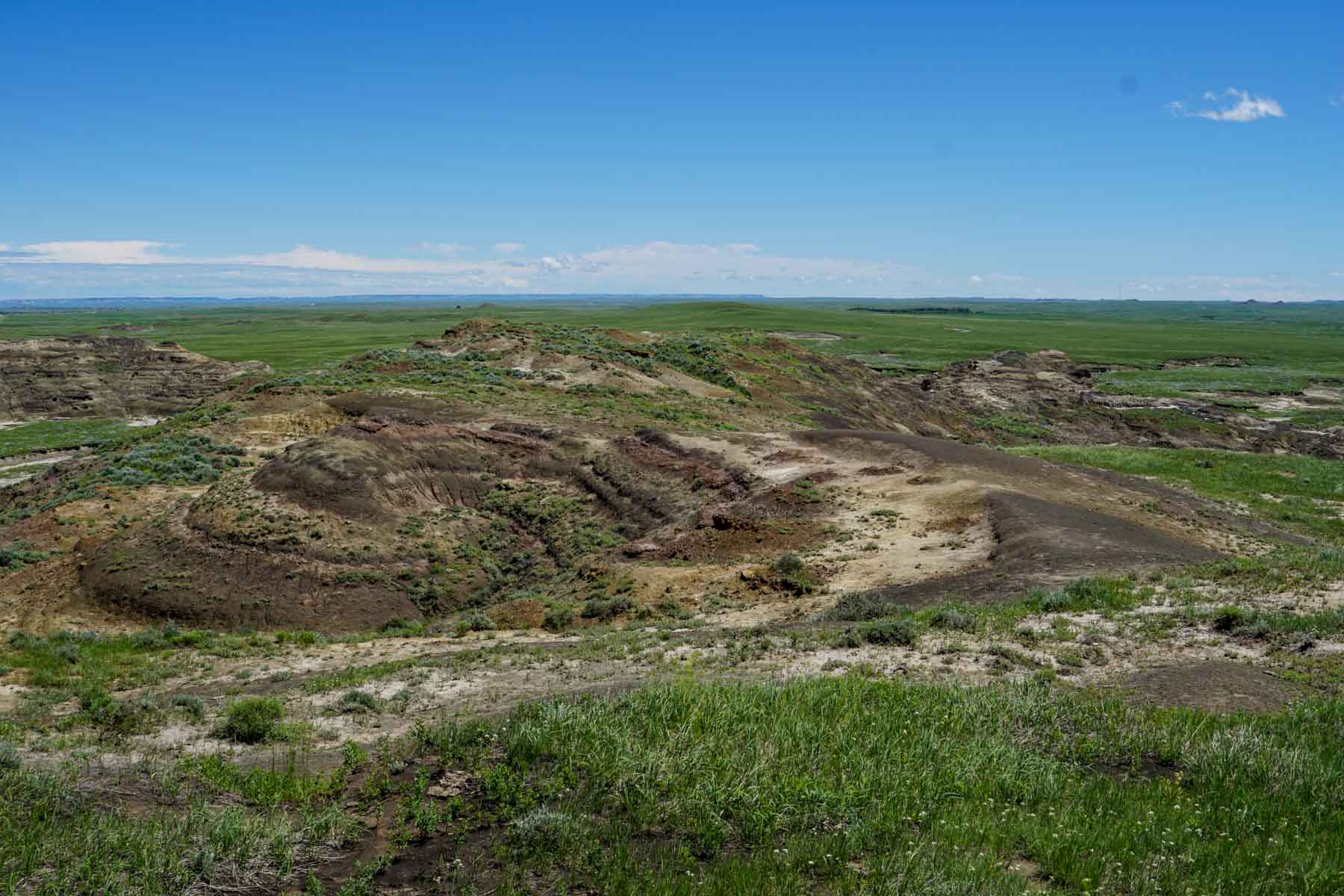 ZX Ranch - Sold - South Dakota - Hall and Hall