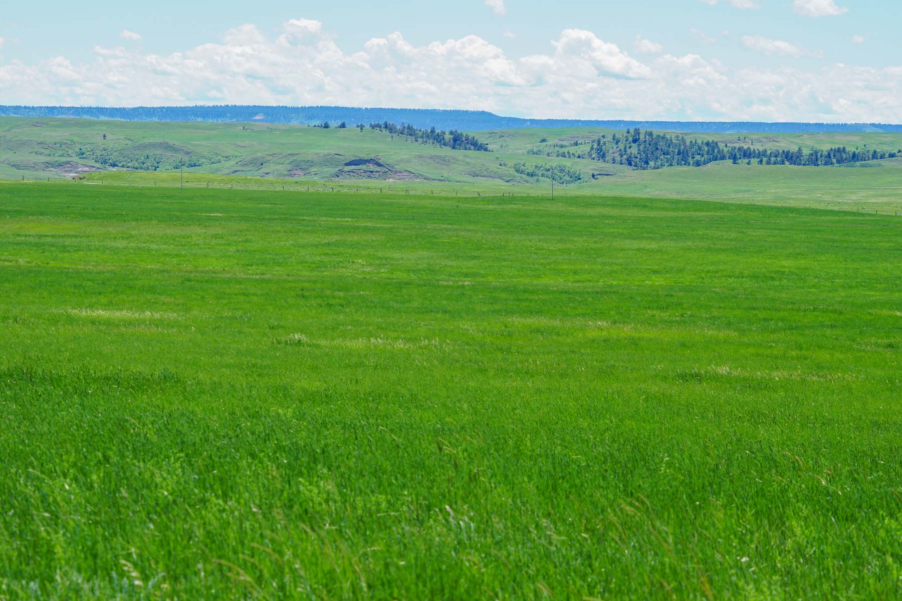 ZX Ranch - Sold - South Dakota - Hall and Hall