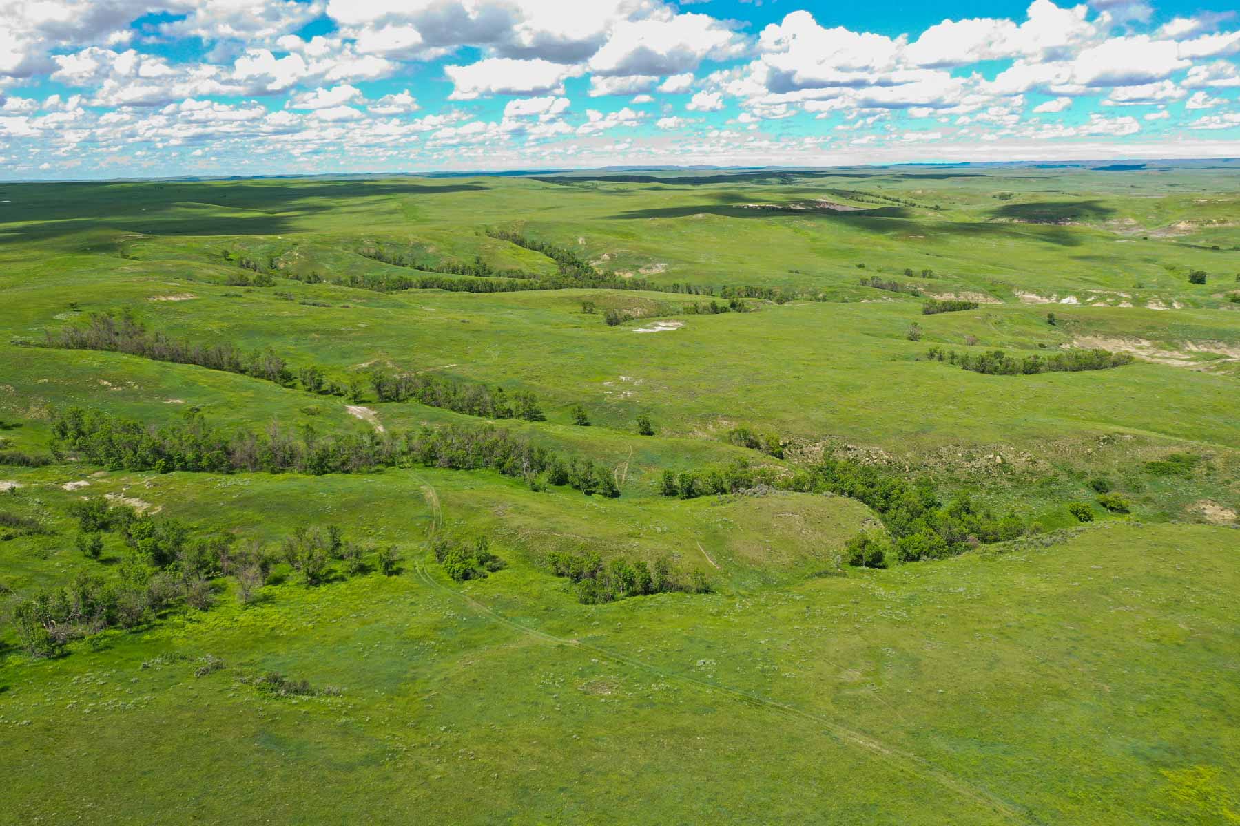 ZX Ranch - Hall and Hall