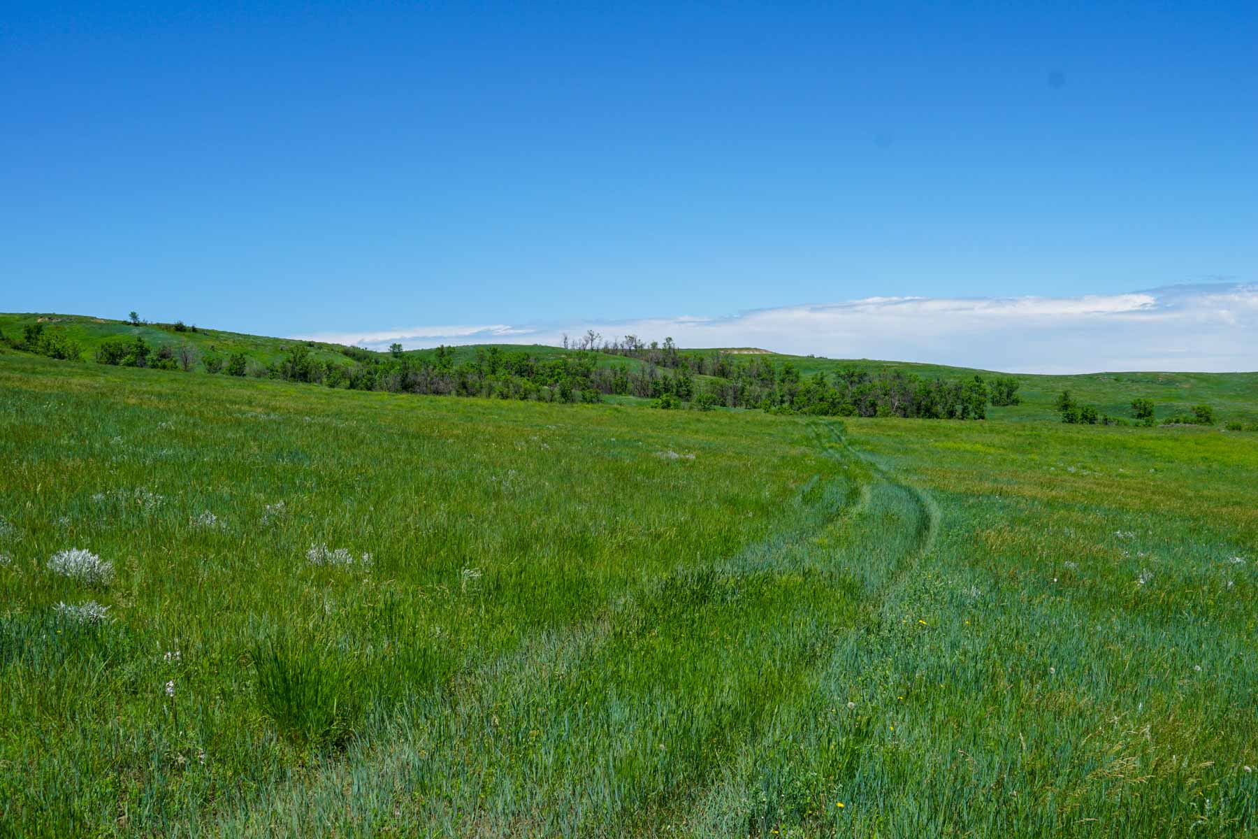 ZX Ranch - Sold - South Dakota - Hall and Hall