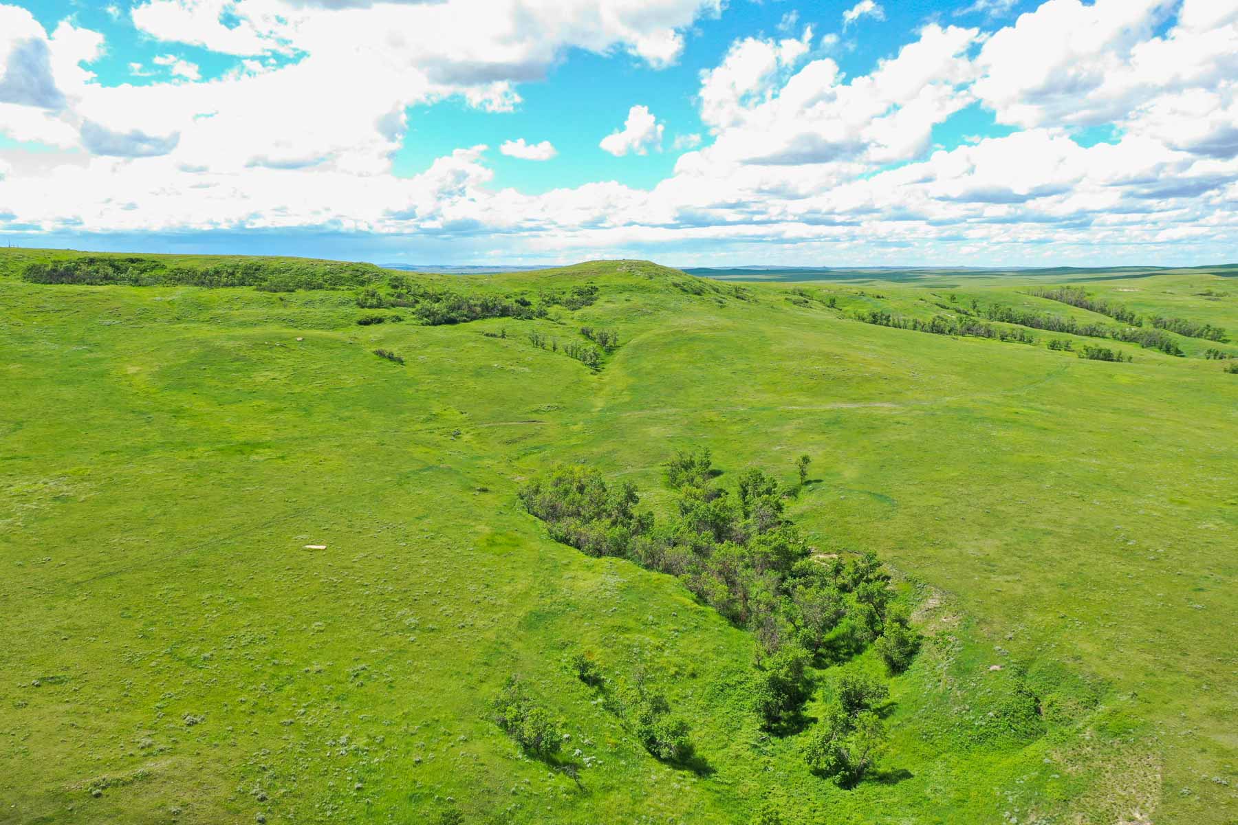 ZX Ranch - Sold - South Dakota - Hall and Hall