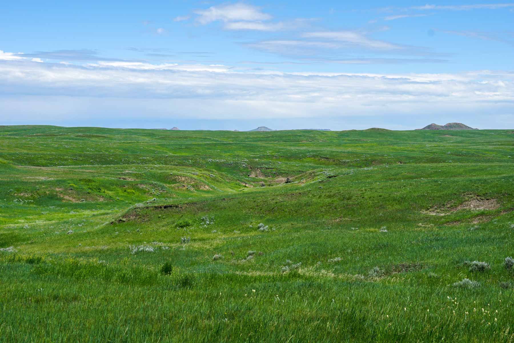 ZX Ranch - Hall and Hall