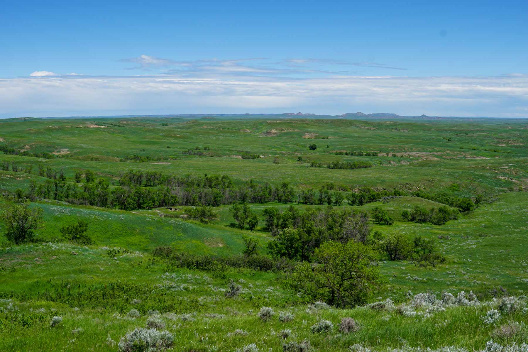 ZX Ranch - Sold - South Dakota - Hall and Hall